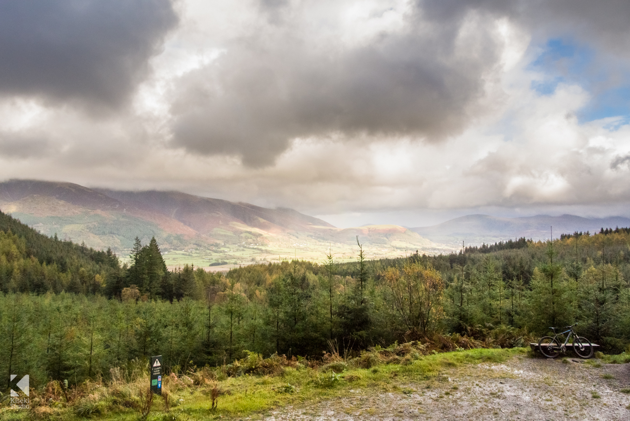 Whinlatter Forest - Mountain Bike Ride - Kiseki Studio