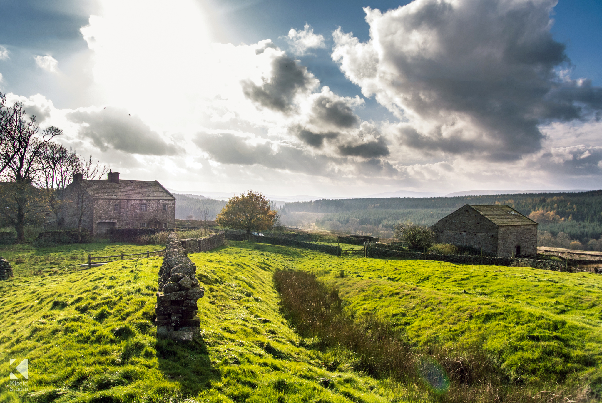 Gisburn Forest - Mountain Bike Ride - Kiseki Studio