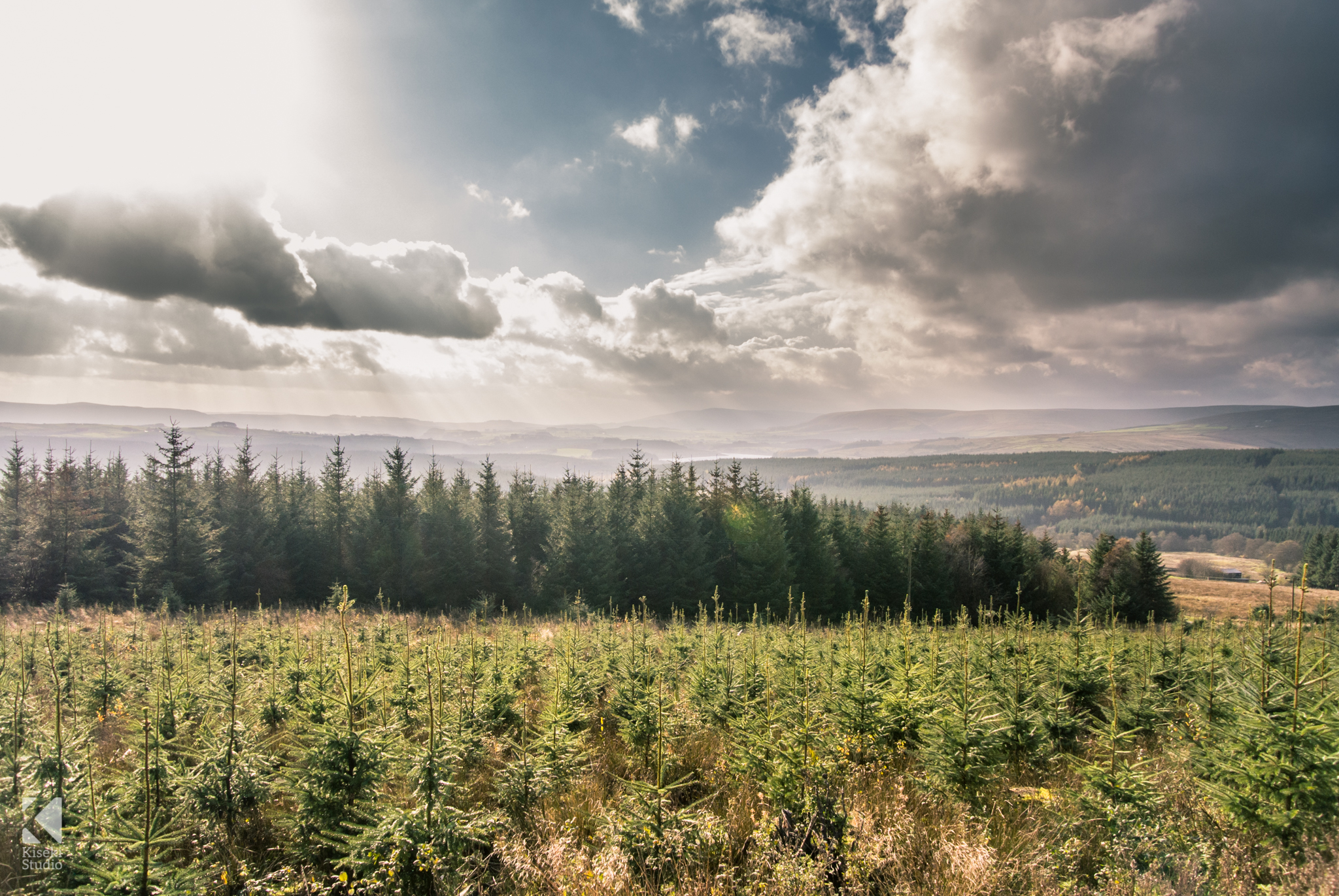 Gisburn Forest - Mountain Bike Ride - Kiseki Studio
